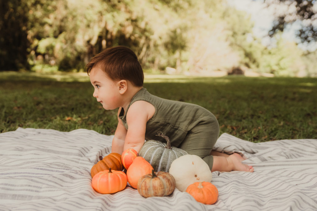 Fall Cake Smash in Kingsland Georgia - The Living Lenz